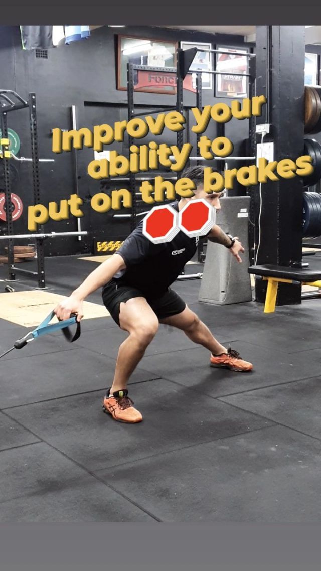 Blog – Cabrera-Performance-Training